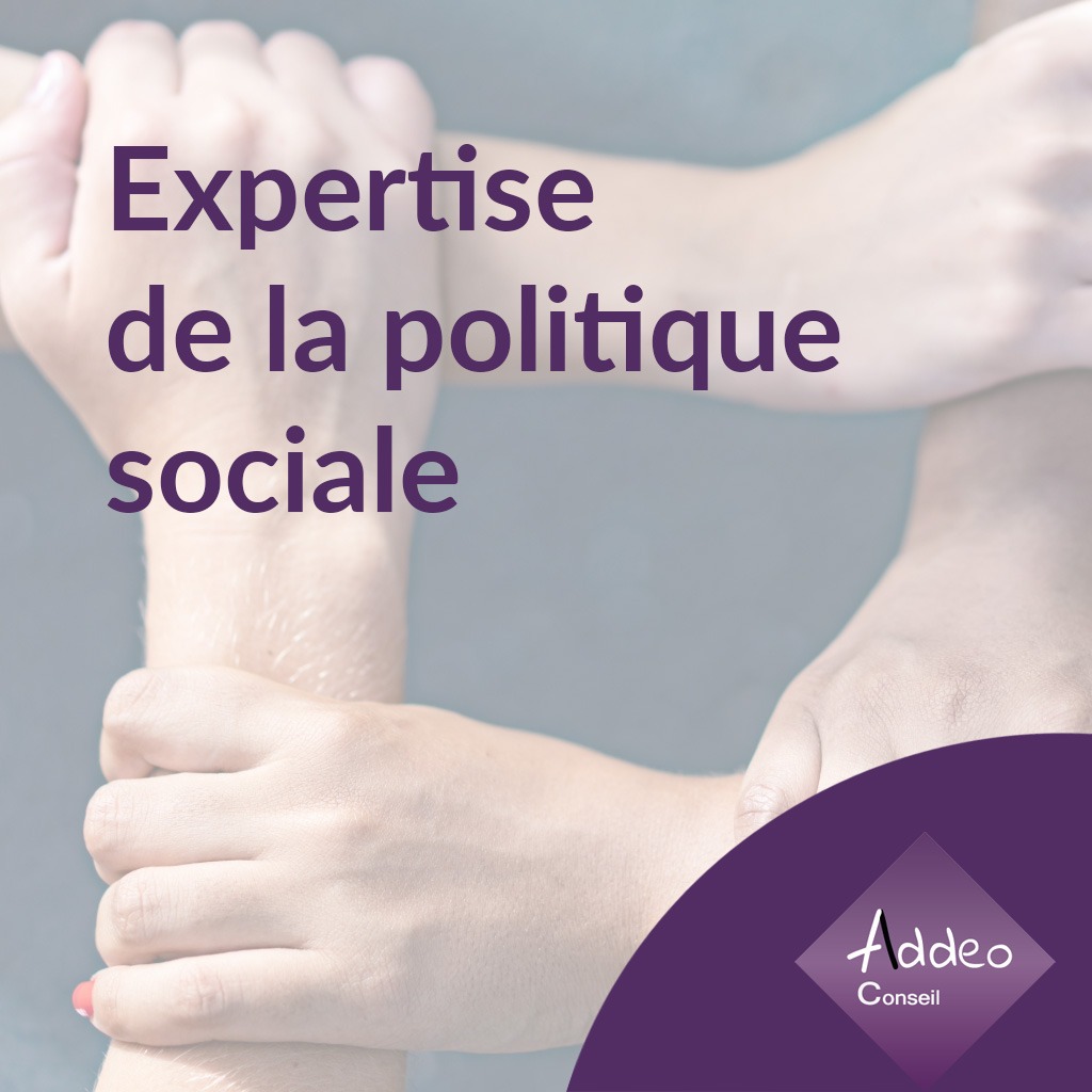 Expertise politique sociale CSE : comprendre les enjeux sociaux
